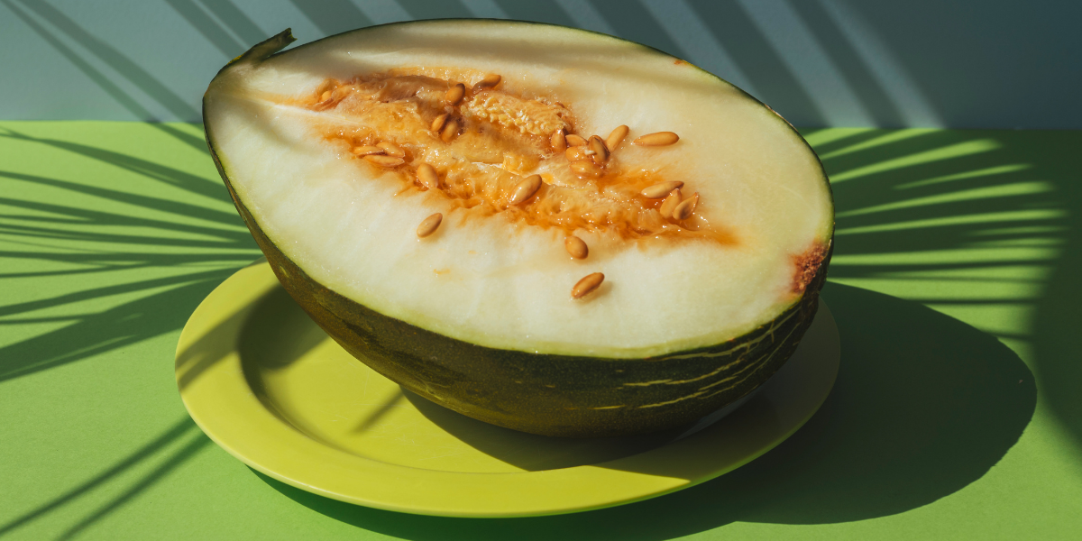 Melón macho y hembra: ¿Cuál es la diferencia? |El Secreto de mi Tierra